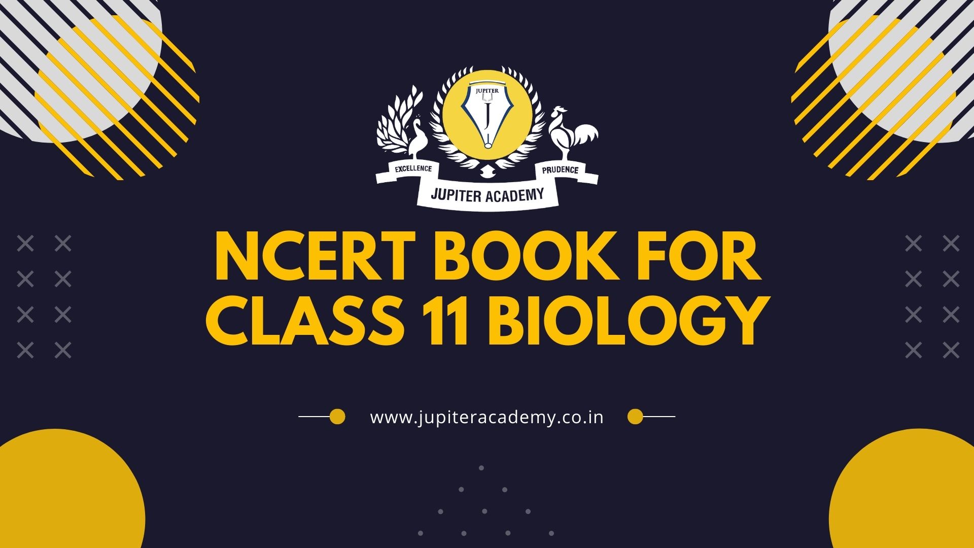 NCERT Book for Class 11 Biology - Free pdf download Jupiter
